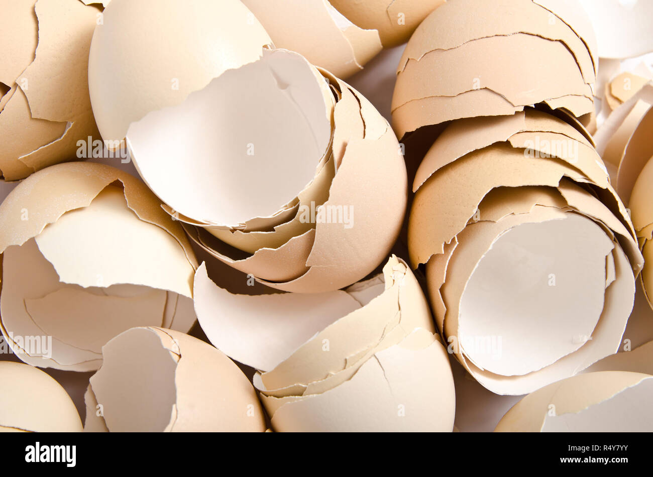background made of egg shell Stock Photo - Alamy