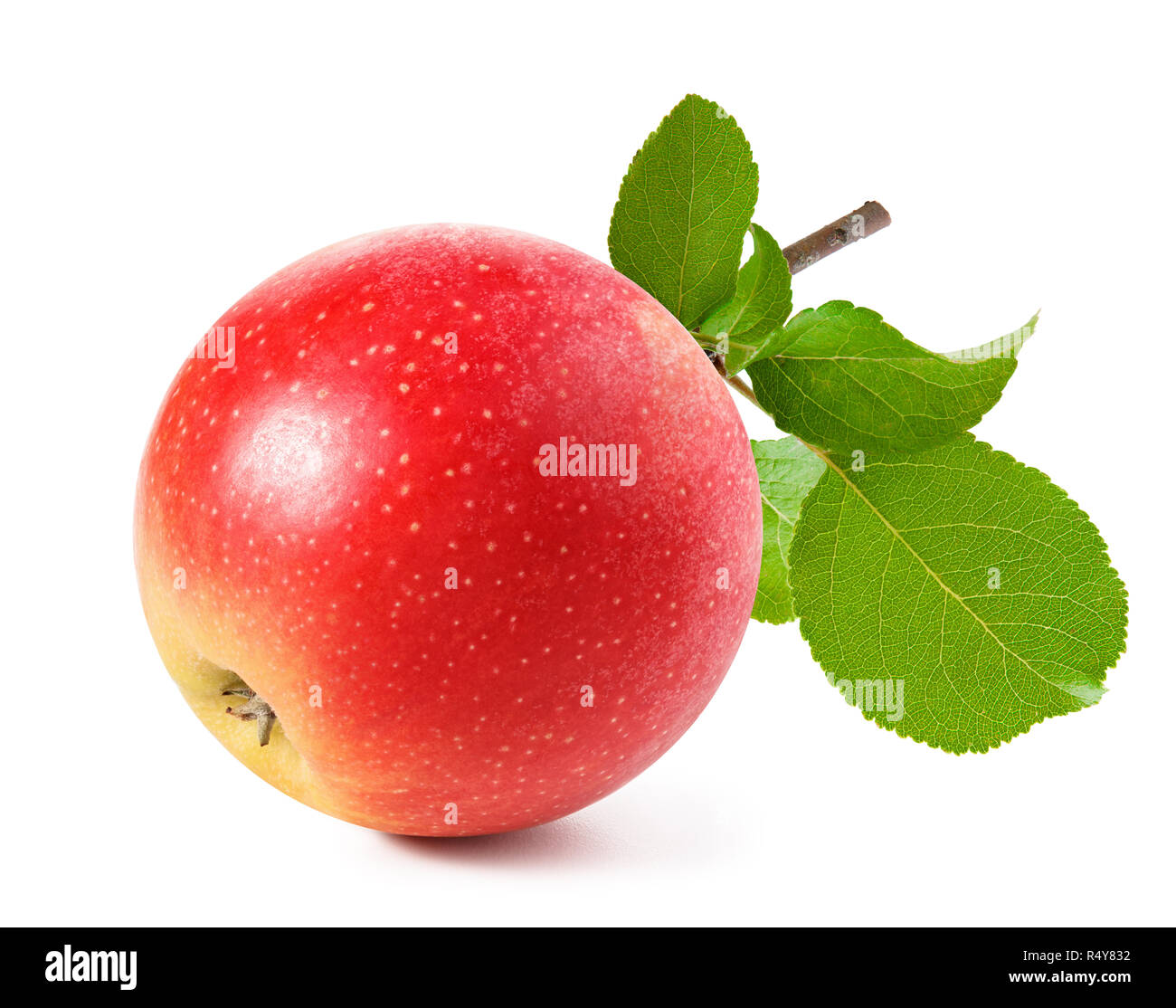 Apple isolated on white background Stock Photo - Alamy