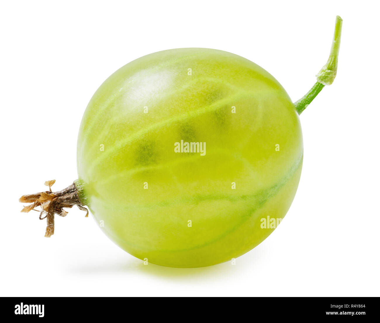 Gooseberry isolated on white background Stock Photo - Alamy