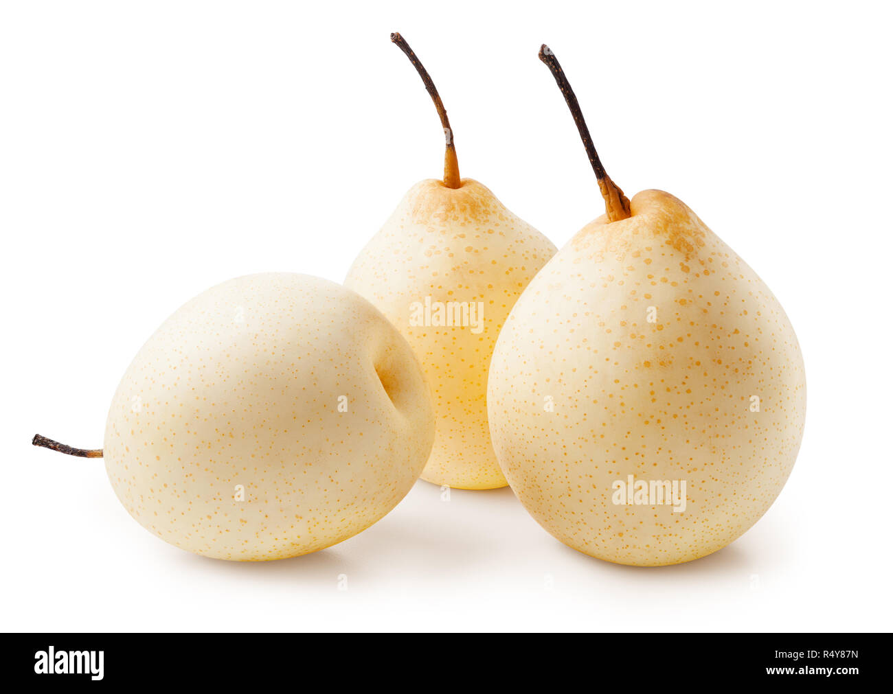 Isolated pears. Chinese pears isolated on white background with ...