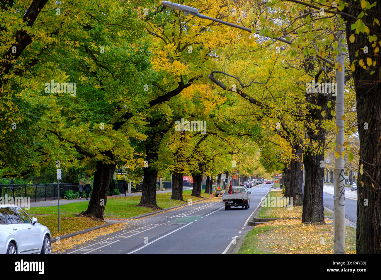 Autumn Colours, Royal Parade, Melbourne Stock Photo - Alamy