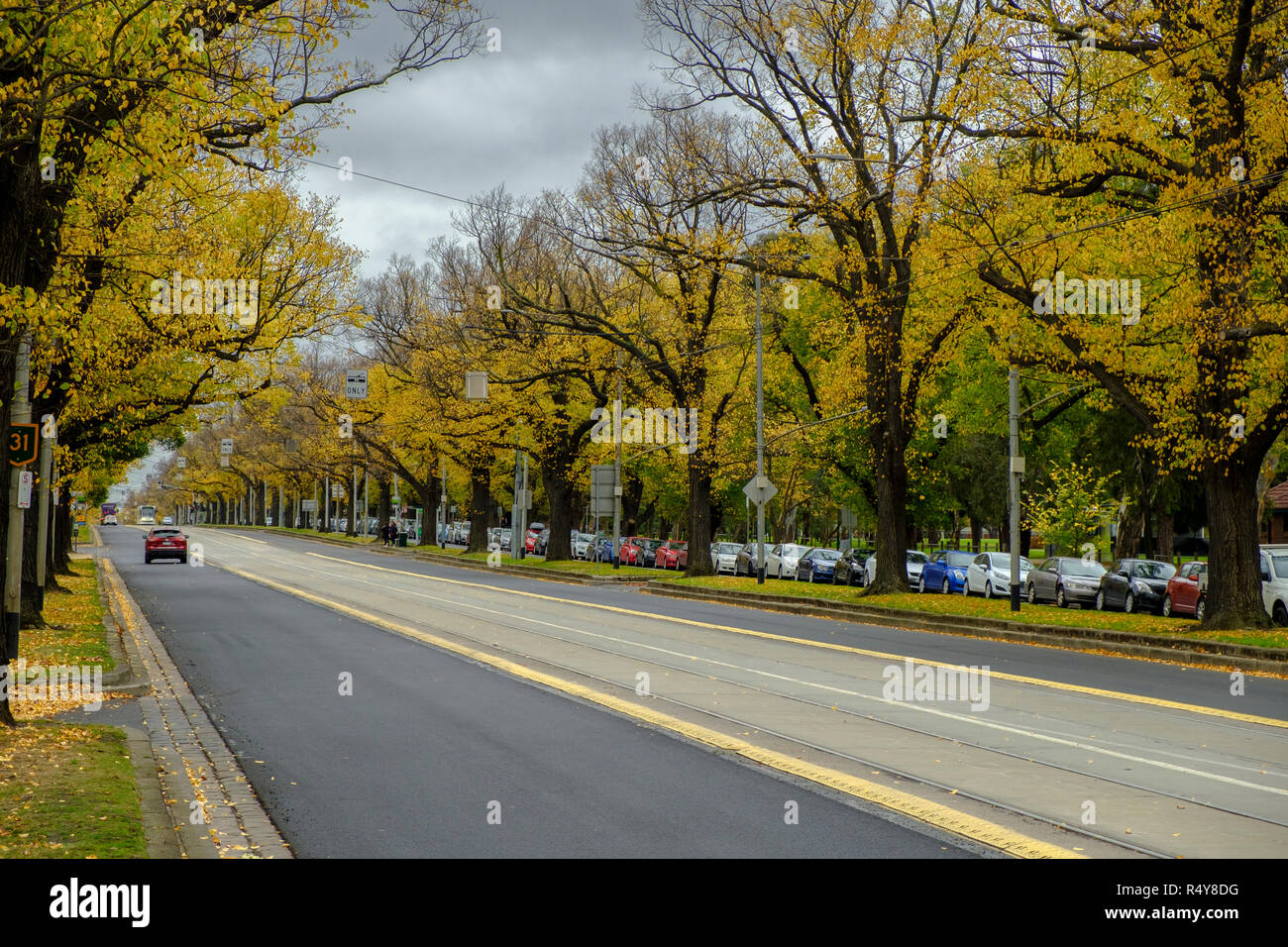 Autumn Colours, Royal Parade, Melbourne Stock Photo - Alamy