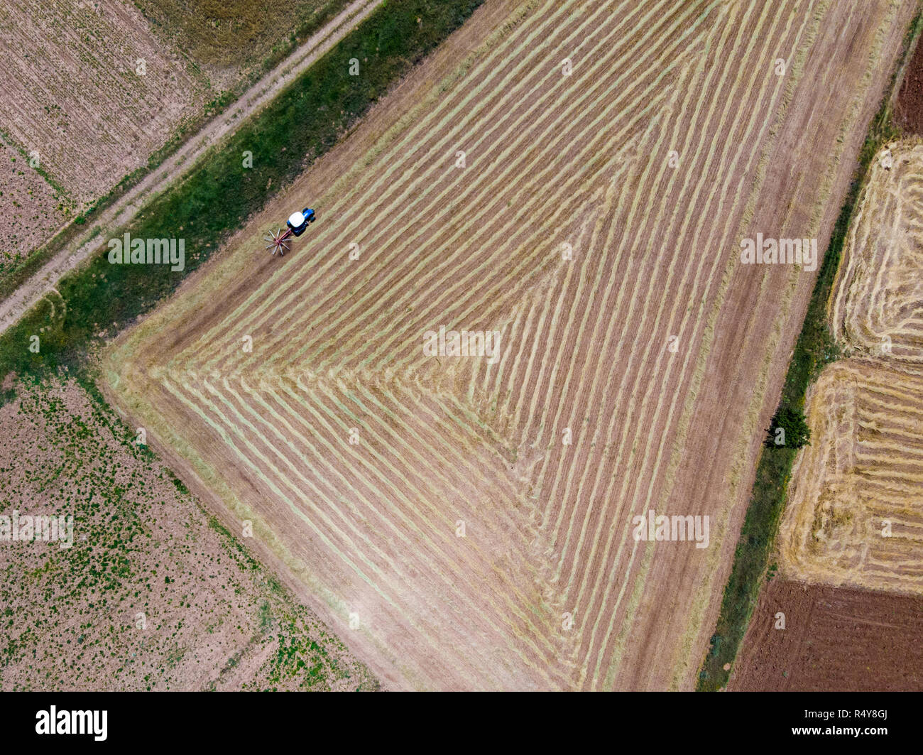 Aerial view of fields with geometric shapes Stock Photo - Alamy