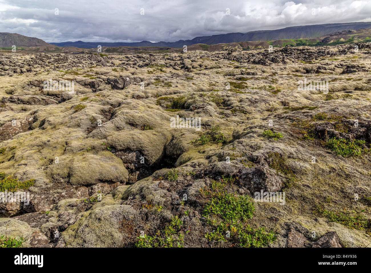 Volcanic lava landscape in Iceland Stock Photo - Alamy