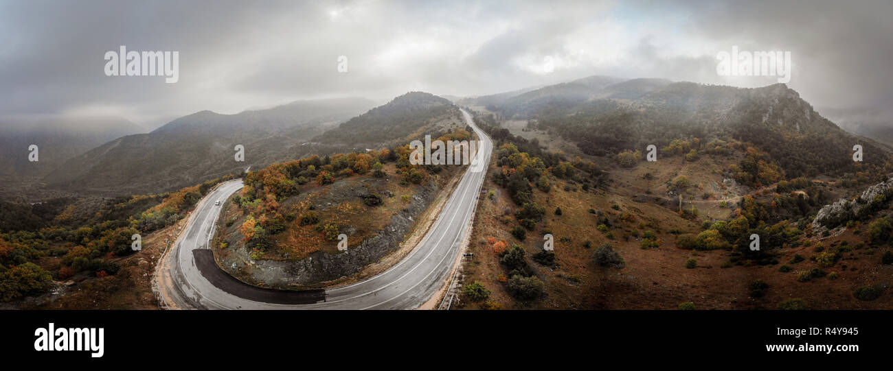 Inside forest hi-res stock photography and images - Alamy