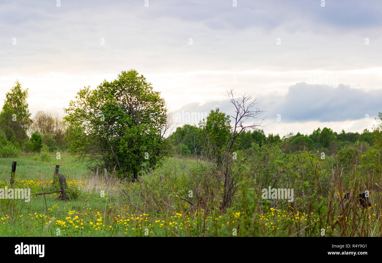 Green nature park hi-res stock photography and images - Alamy