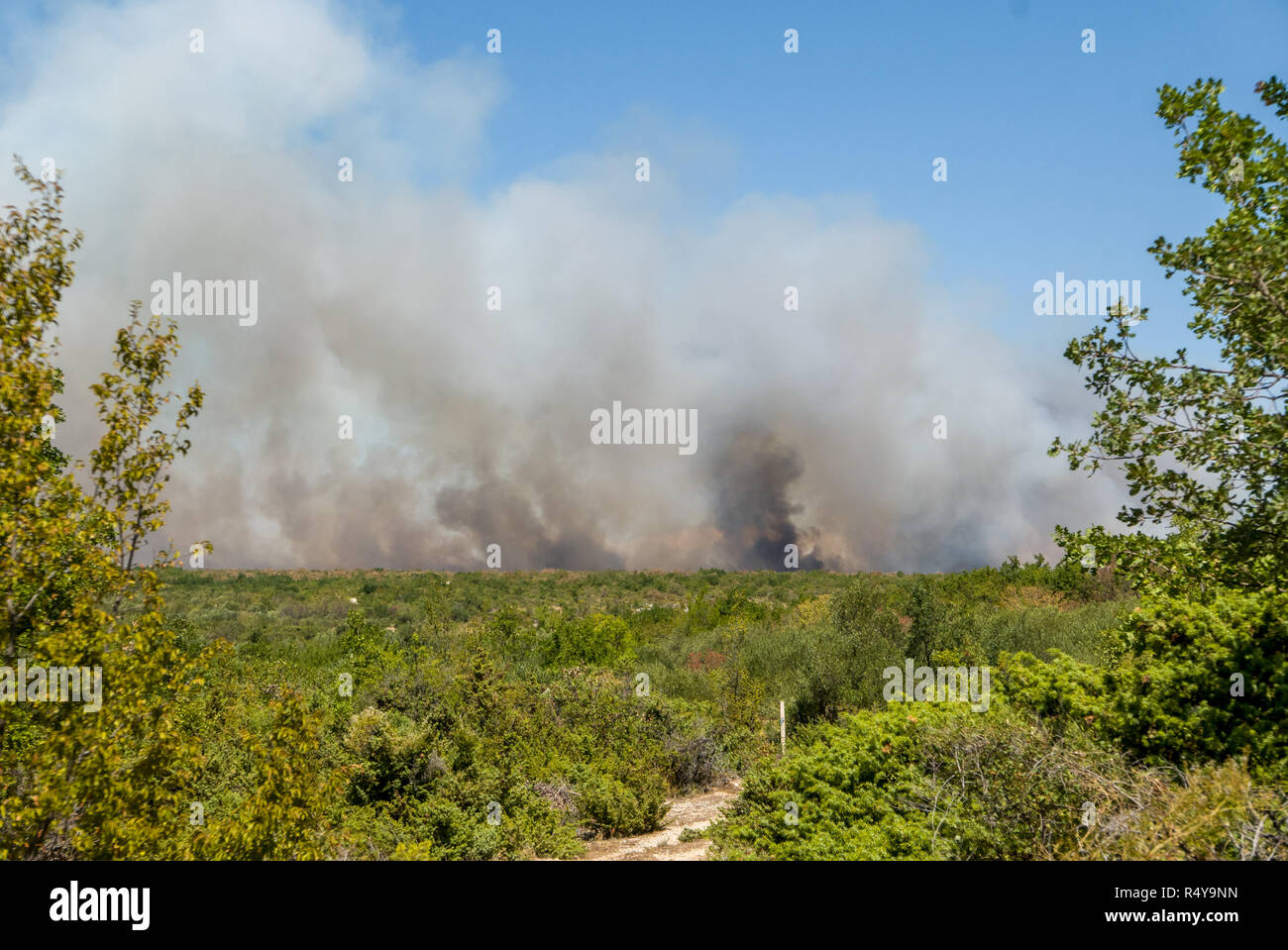 Natural disaster - fire Stock Photo - Alamy
