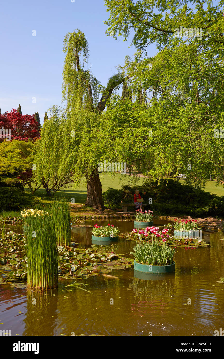 Verona province hi-res stock photography and images - Alamy
