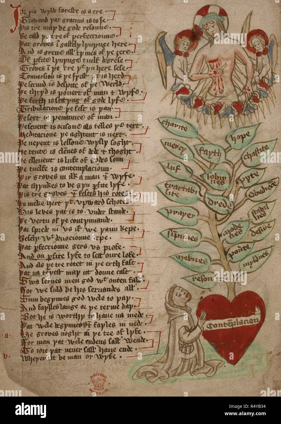 Illustrated manuscript tree hi-res stock photography and images - Alamy