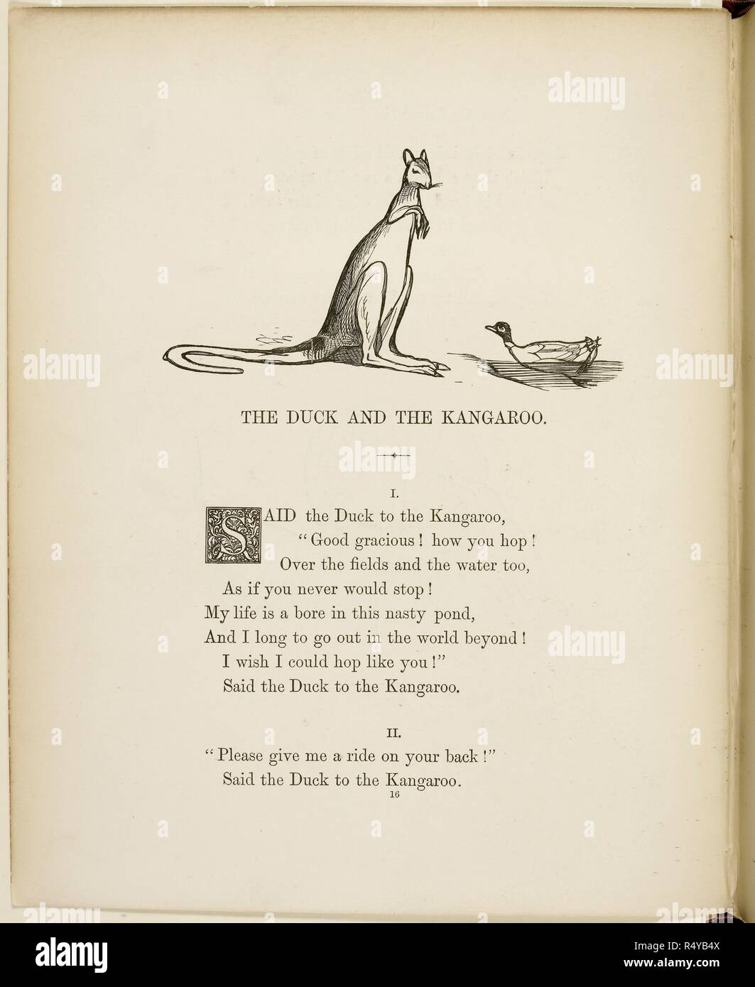 Duck kangaroo edward lear kangaroo hi-res stock photography and images ...