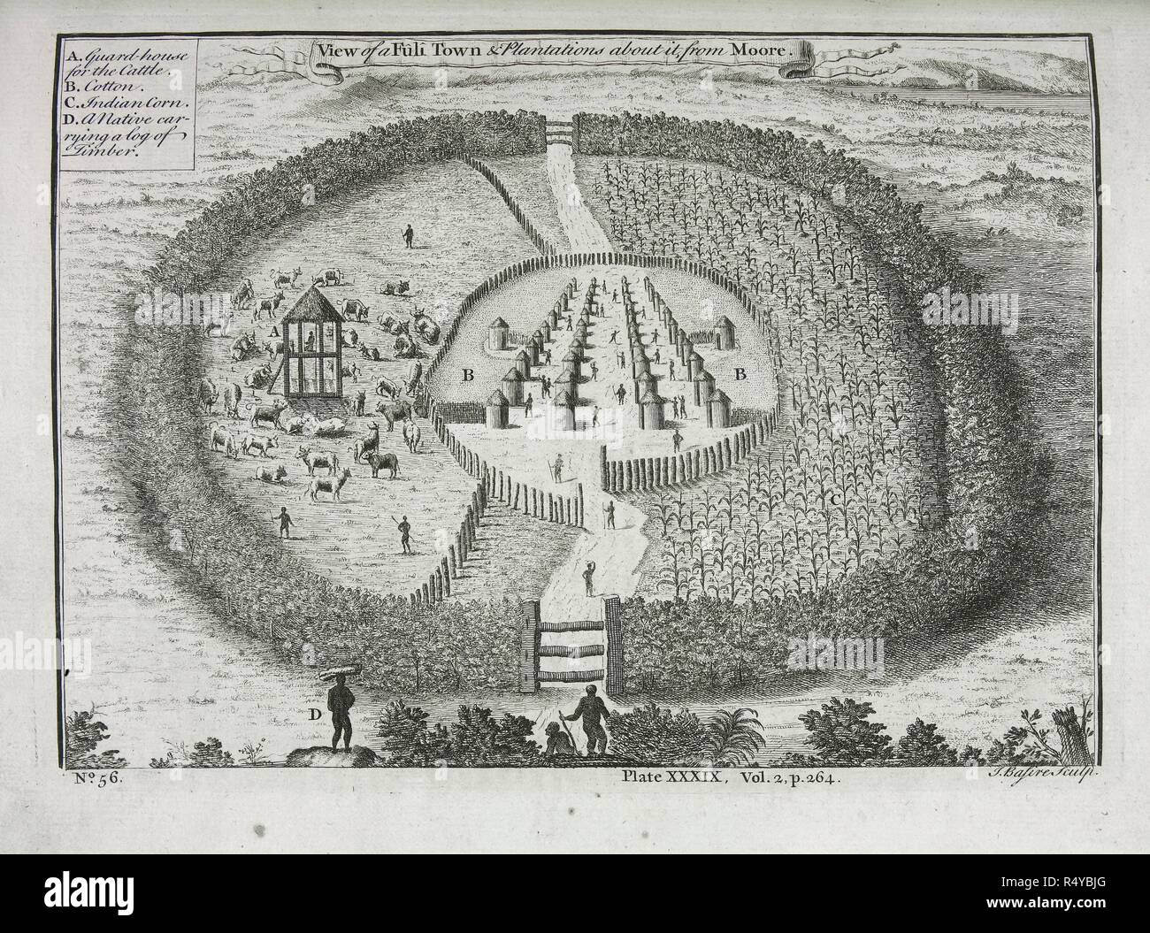 Slave Plantation Diagram