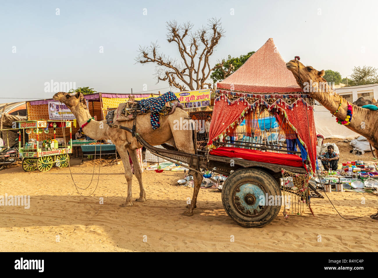 Camel cart hi-res stock photography and images - Alamy