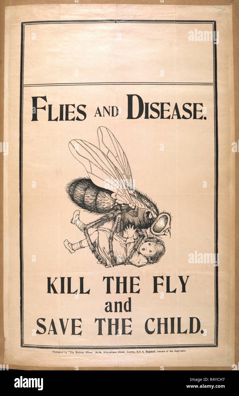 'Flies and disease. Kill the fly and save the child'. . The Medical ...