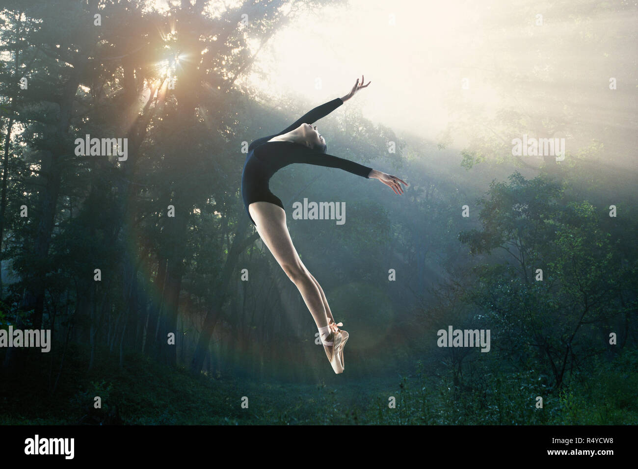 Young woman dancing in woods hi-res stock photography and images - Alamy