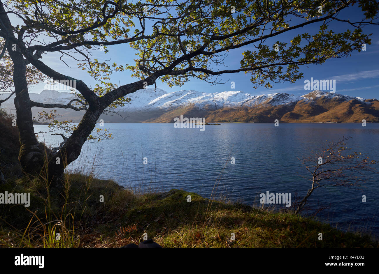 Scottish landscape with view of Ladhar Bheinn and Loch Hourn Stock ...