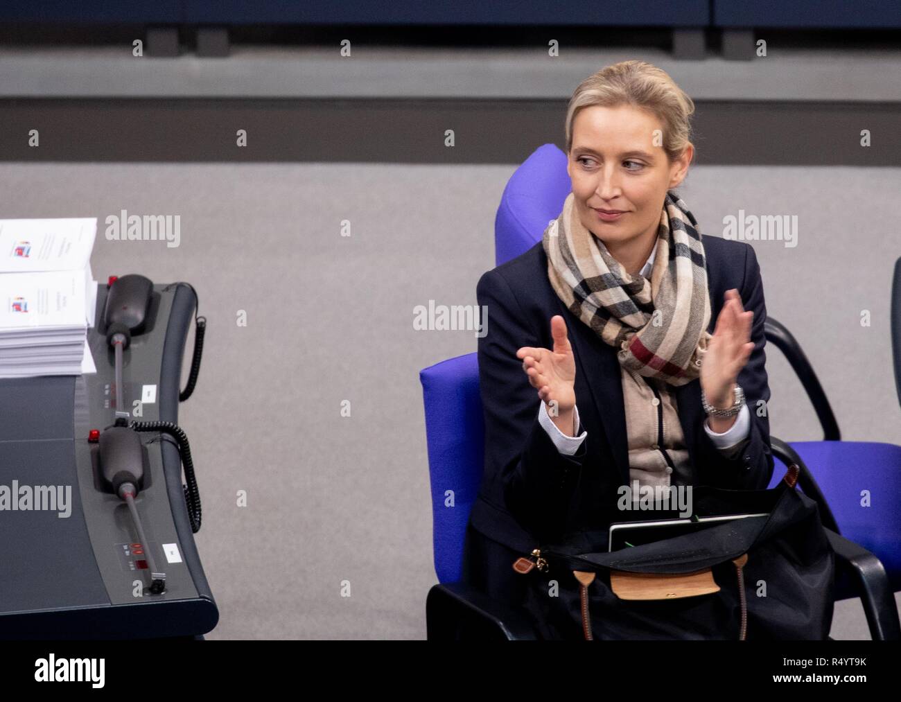 Berlin, Germany. 29th Nov, 2018. Alice Weidel, leader of the AfD ...