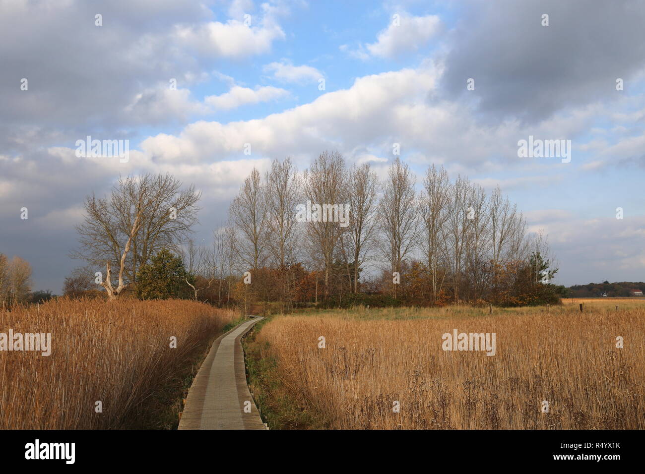 The fens uk landscapes hi-res stock photography and images - Alamy