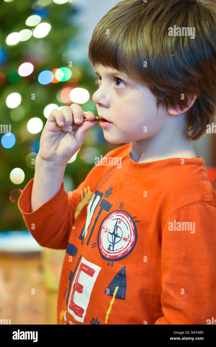 Boy eating biscuit Stock Photo - Alamy