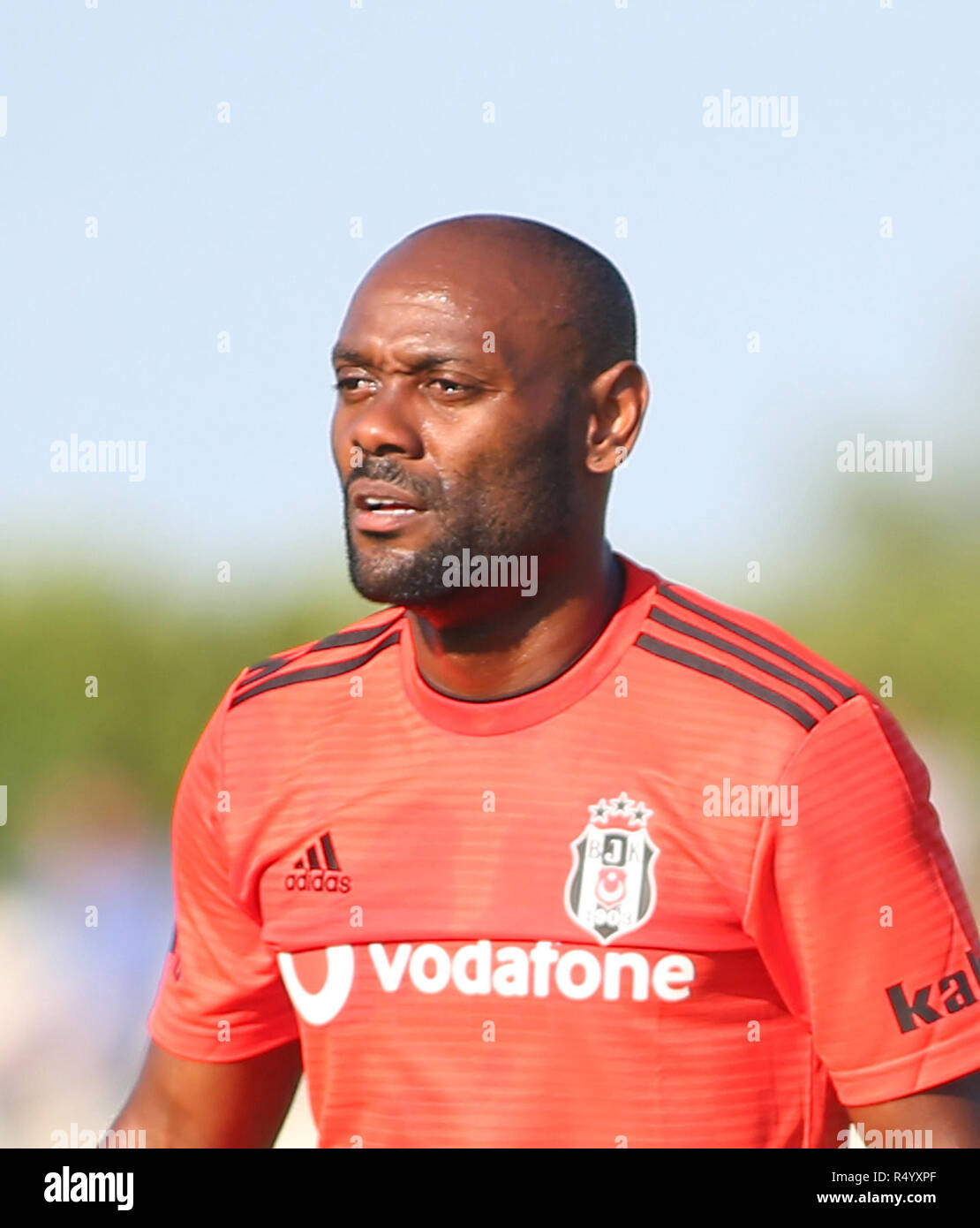 Vágner love hi-res stock photography and images - Alamy