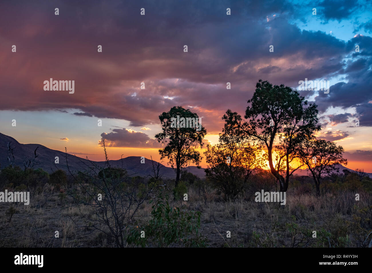 South African landscape Stock Photo - Alamy