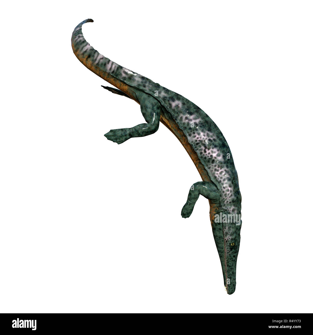 3D Rendering Archegosaurus on White Stock Photo - Alamy