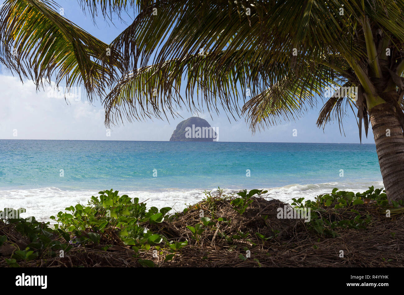The beautiful Caribbean beach on Martinique island , French West Indies ...