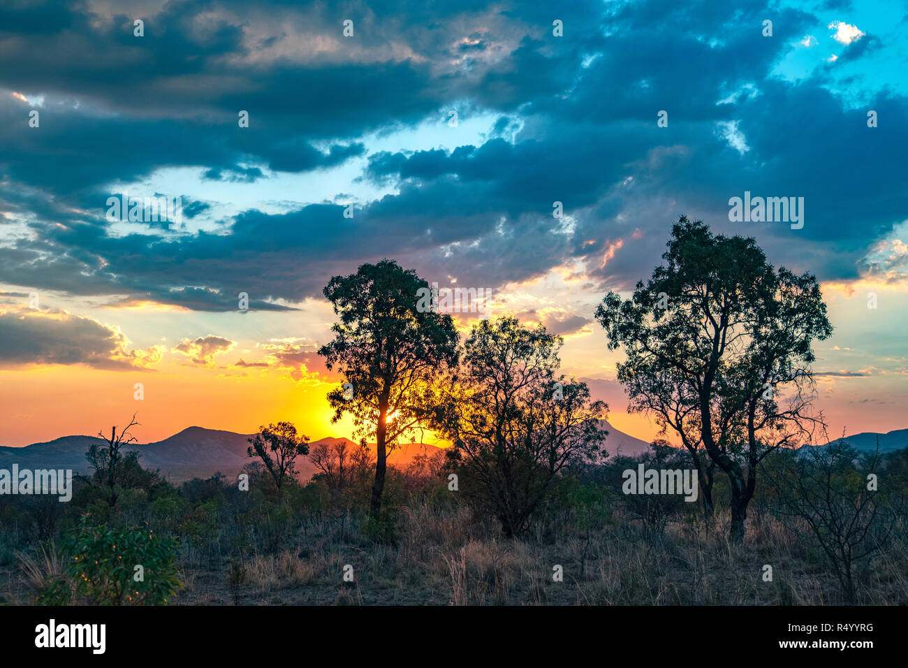 South African landscape Stock Photo - Alamy
