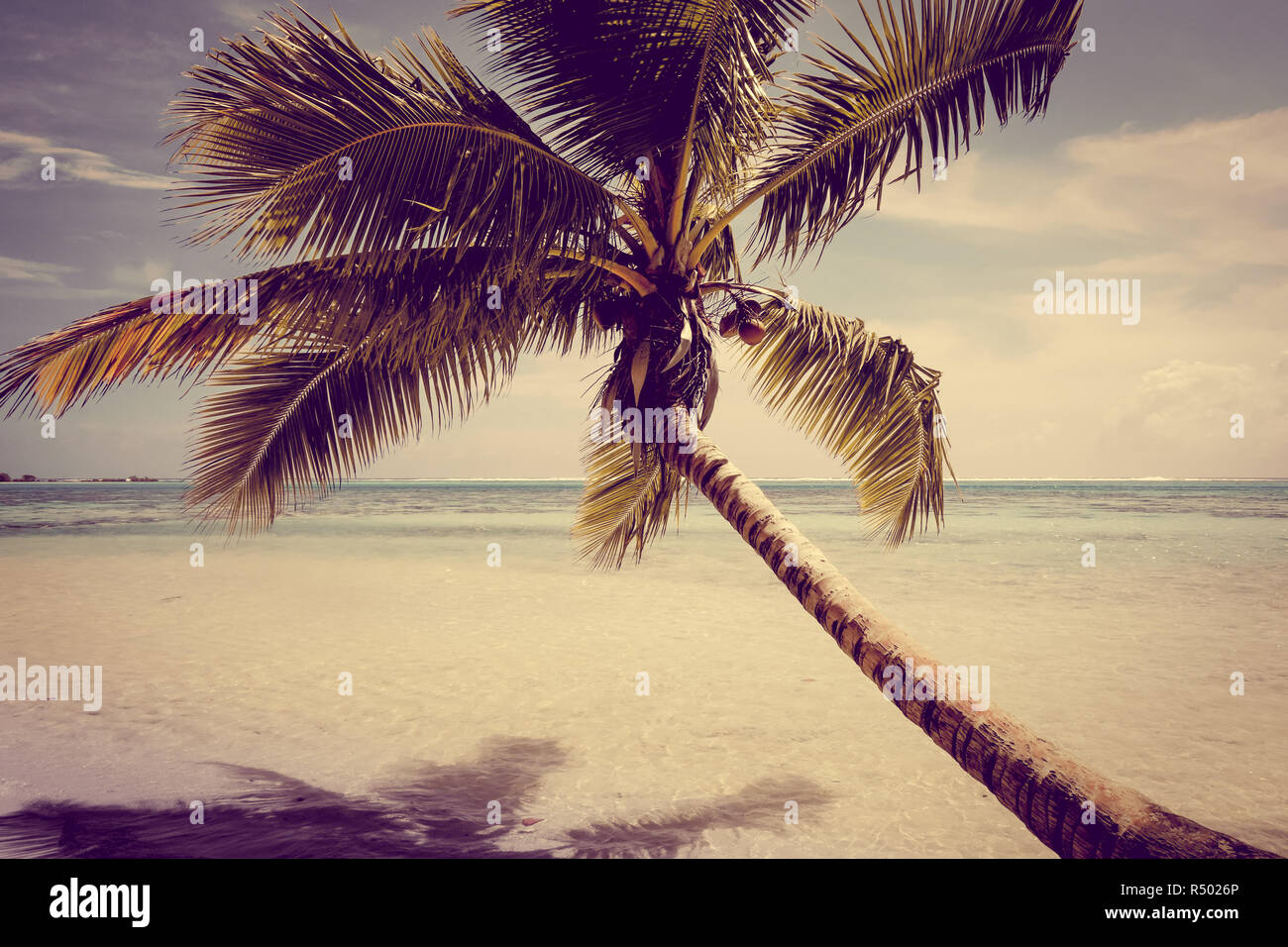 Paradise tropical beach and lagoon in Moorea Island Stock Photo - Alamy