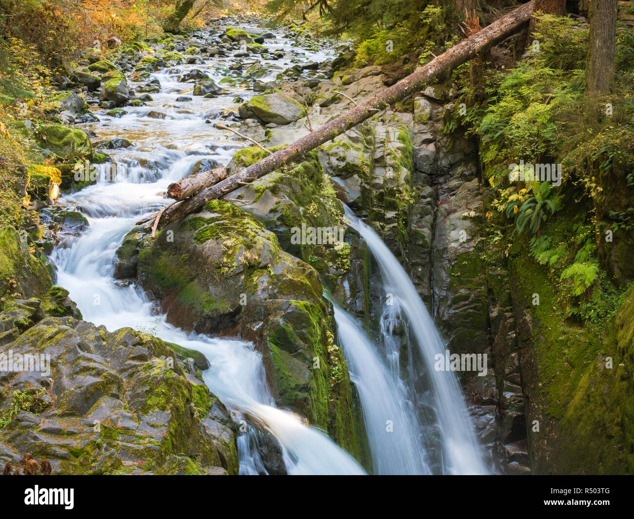 Sol duc hot springs hi-res stock photography and images - Alamy