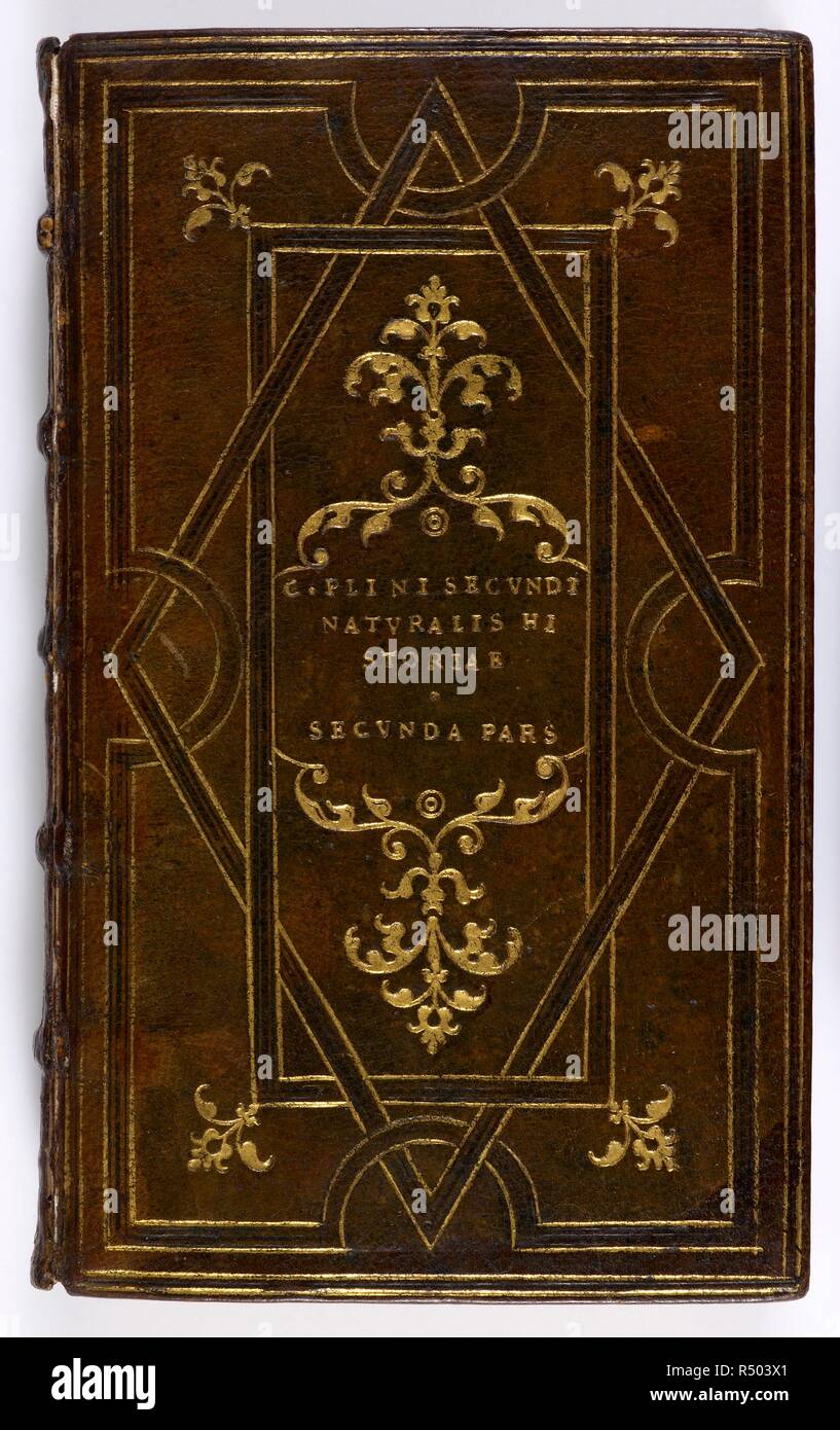 Rabirius hi-res stock photography and images - Alamy