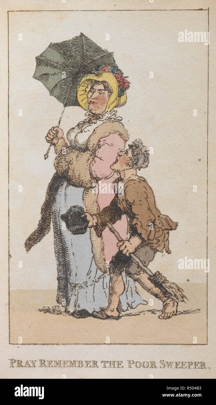 Pestered hi-res stock photography and images - Alamy