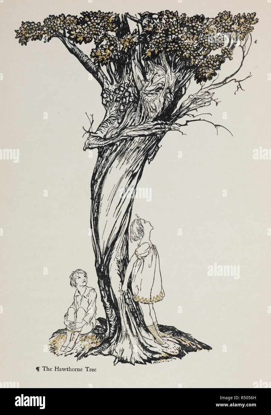 Two children standing under a hawthorne tree with a face, from ...