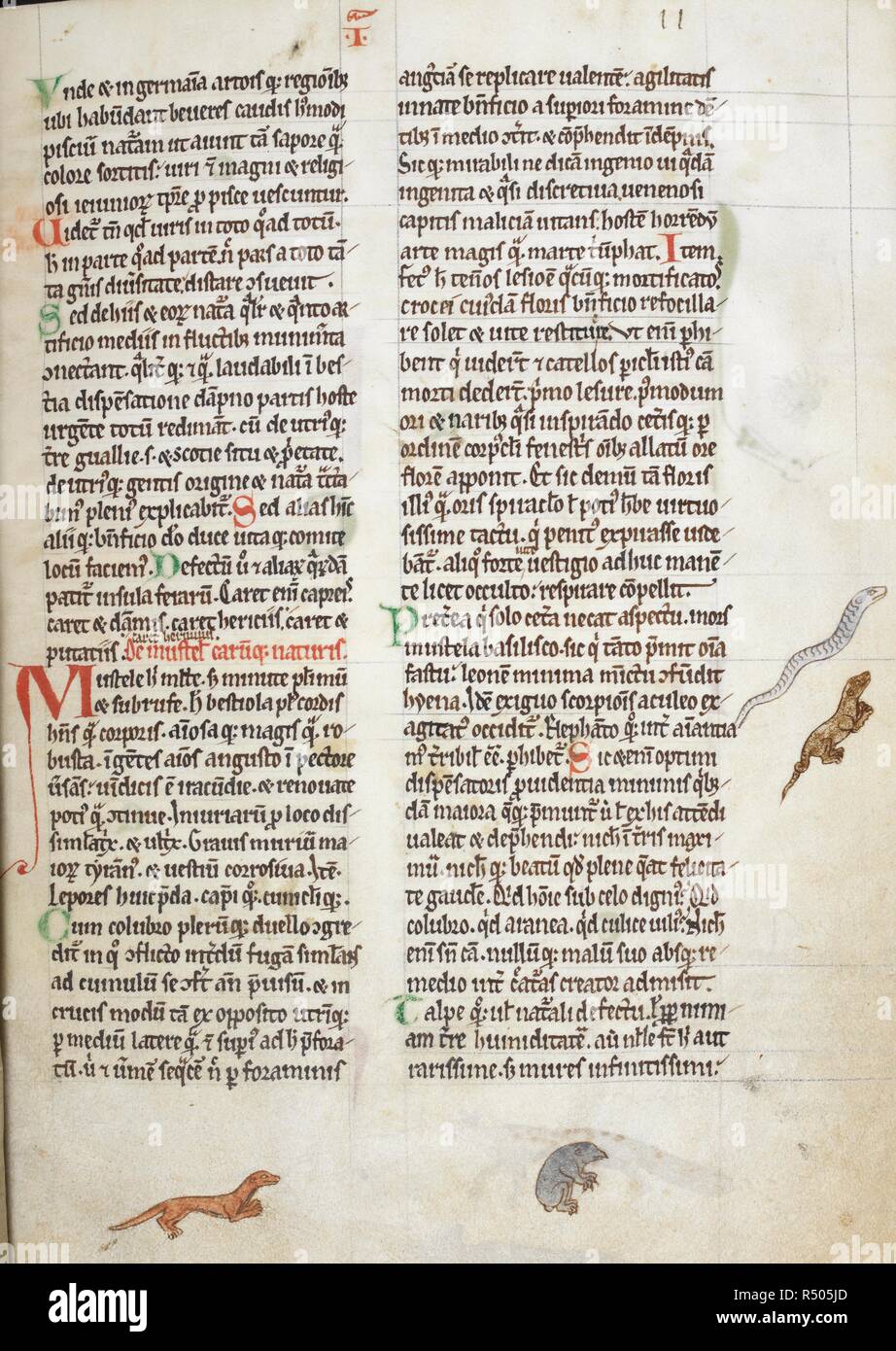 Text with animals in the margin: a weasel, a mole and two snakes ...