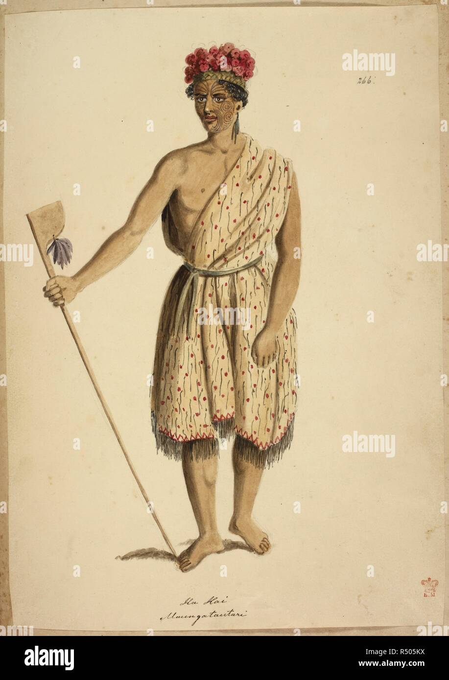 A Maori male with facial tattoo and wearing a floral headress. Sketches ...