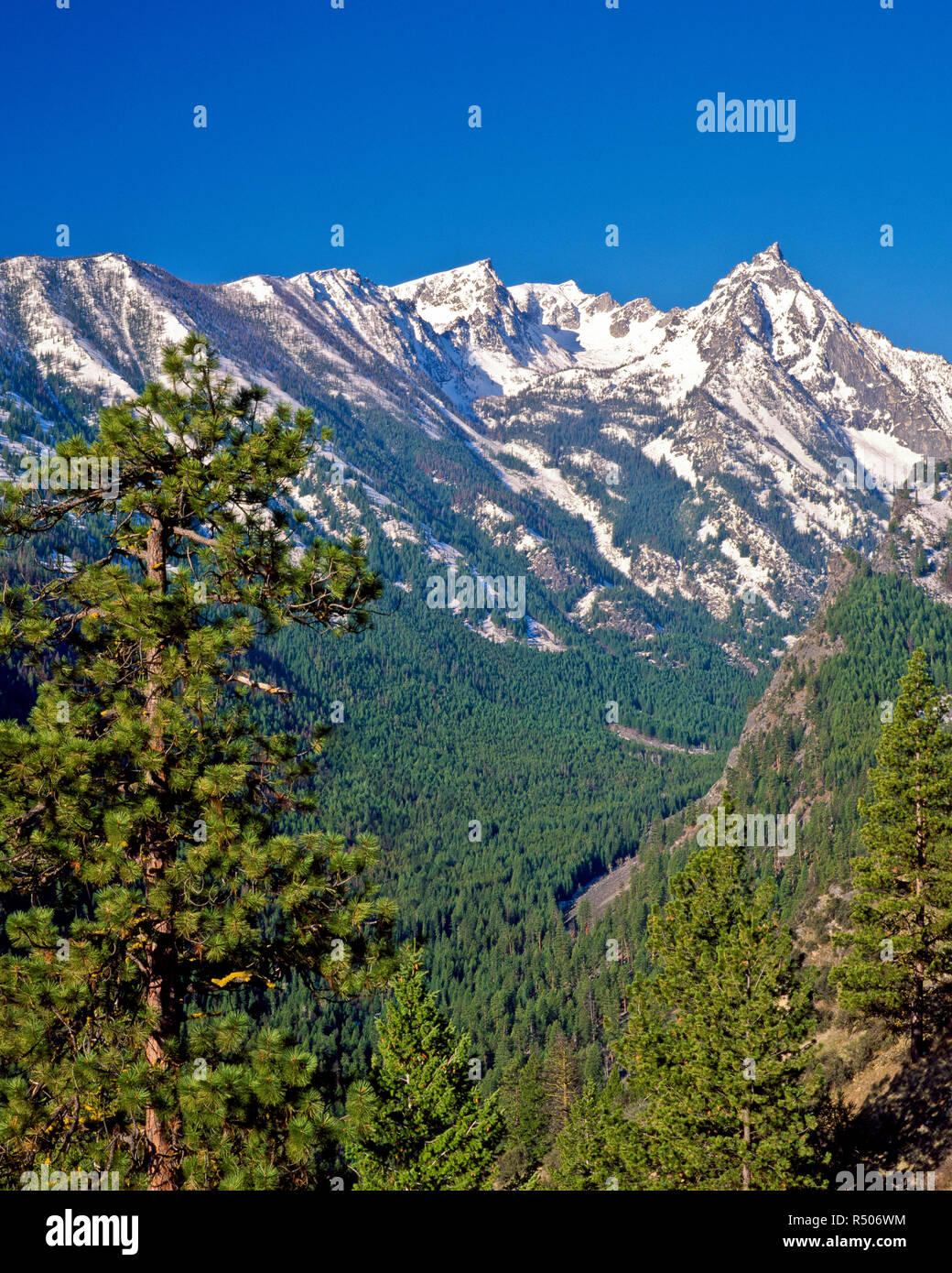 trapper peak in the bitterroot mountains near conner, montana Stock ...