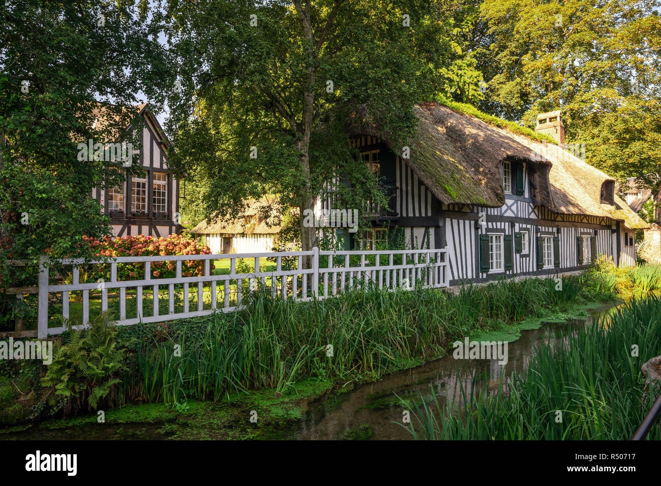 Half timbered thatched cottage hi-res stock photography and images - Alamy