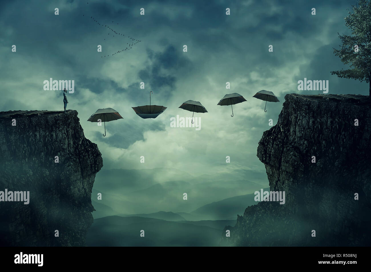 umbrella path way Stock Photo - Alamy