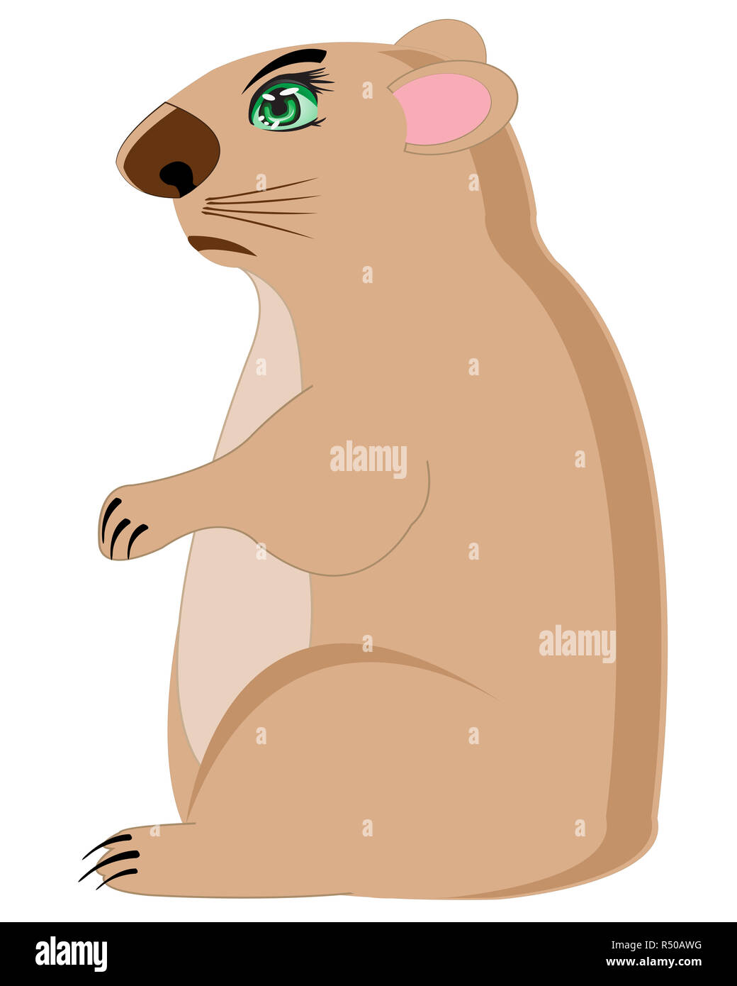 Woodchuck cartoon hi-res stock photography and images - Alamy