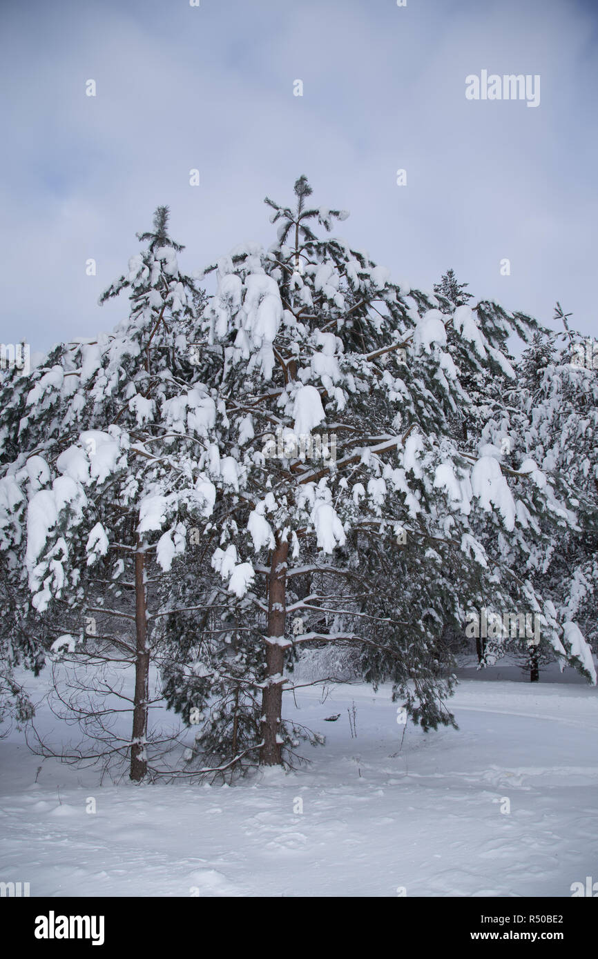 Russian snow hi-res stock photography and images - Alamy