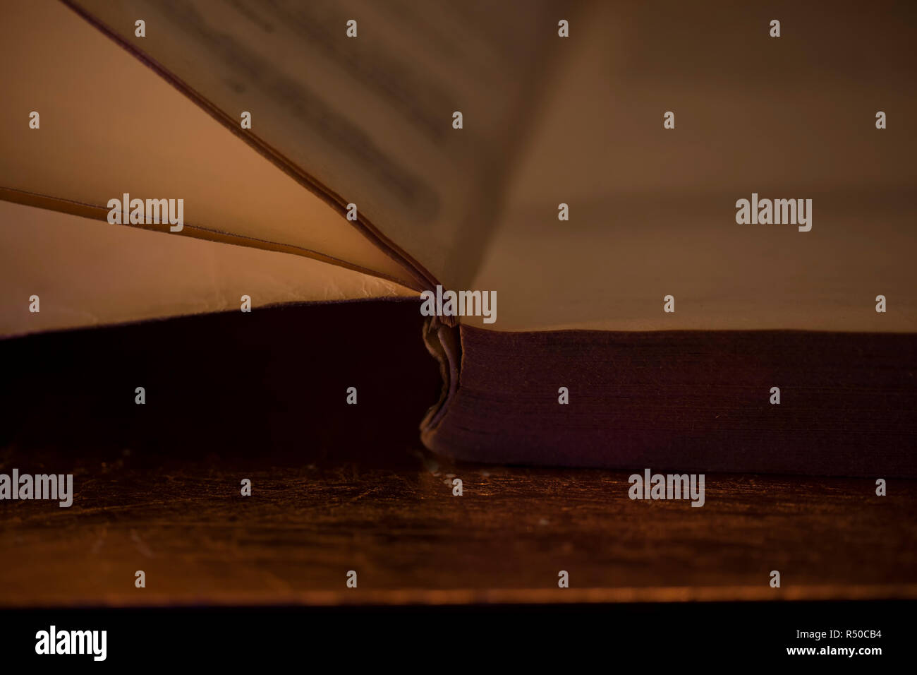 Paper pile dog hi-res stock photography and images - Alamy