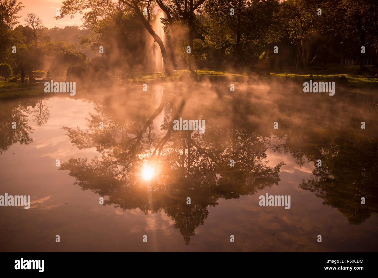 Chae son national park hi-res stock photography and images - Alamy