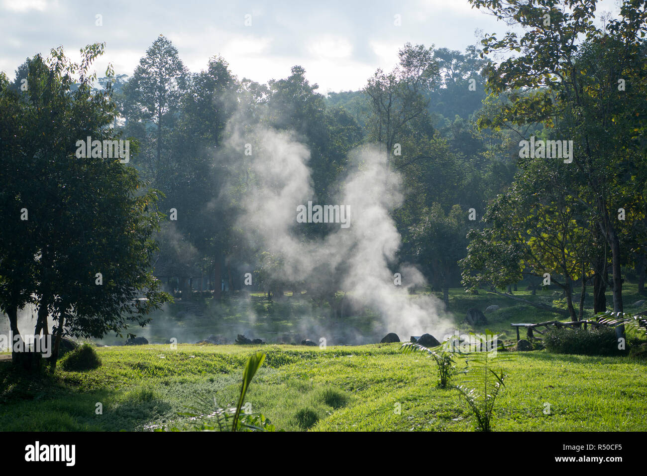 Chae son national park hi-res stock photography and images - Alamy