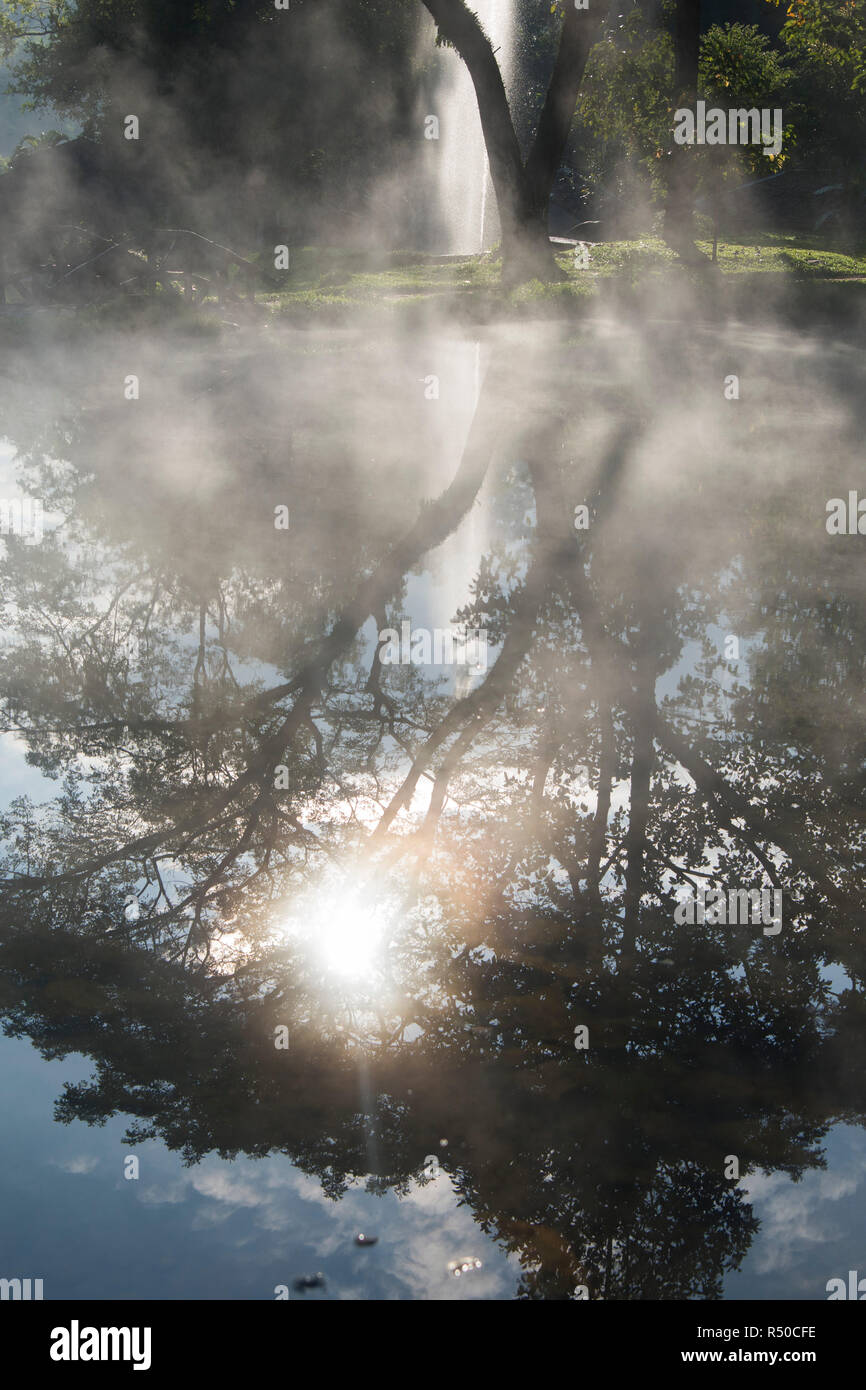 Chae son national park hi-res stock photography and images - Alamy