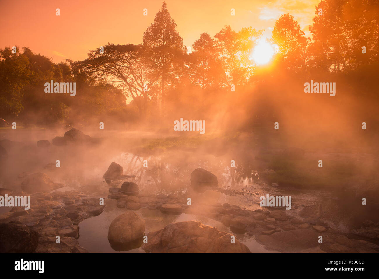 Chae son national park hi-res stock photography and images - Alamy