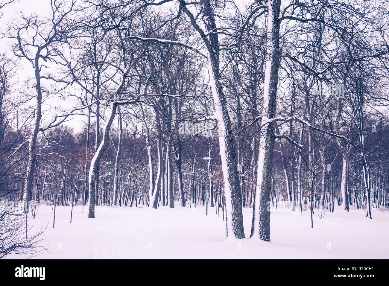 Dull blue background hi-res stock photography and images - Alamy