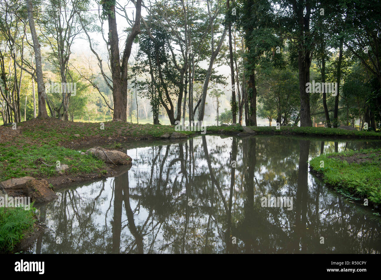 Chae son national park hi-res stock photography and images - Alamy