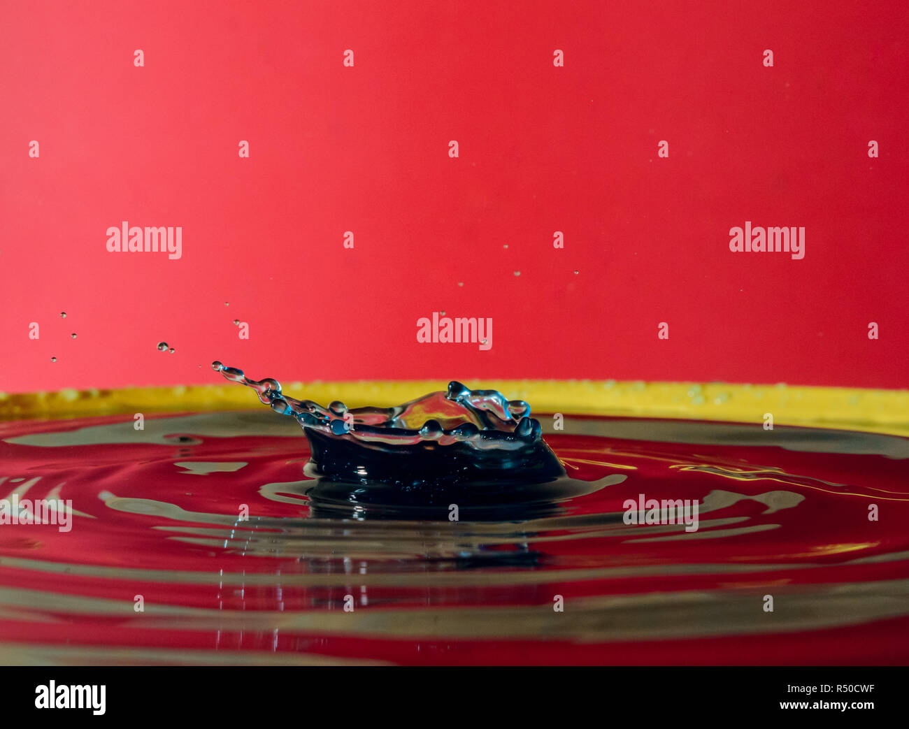 Magic moment photography hi-res stock photography and images - Alamy