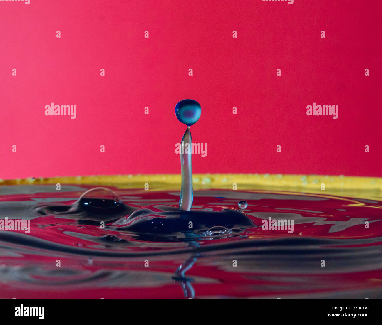 Magic moment photography hi-res stock photography and images - Alamy