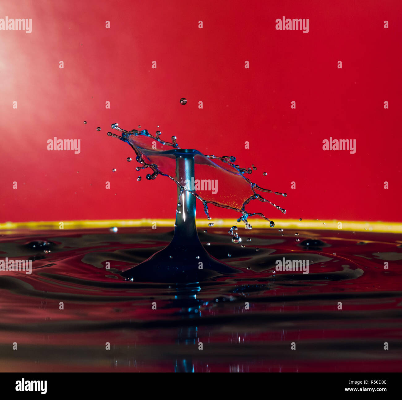 Magic Moment Photography High Resolution Stock Photography and Images ...