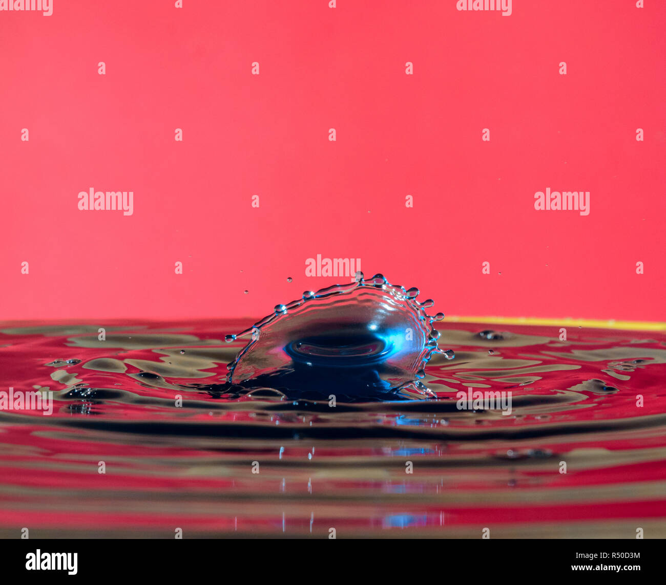 Magic macro hi-res stock photography and images - Alamy